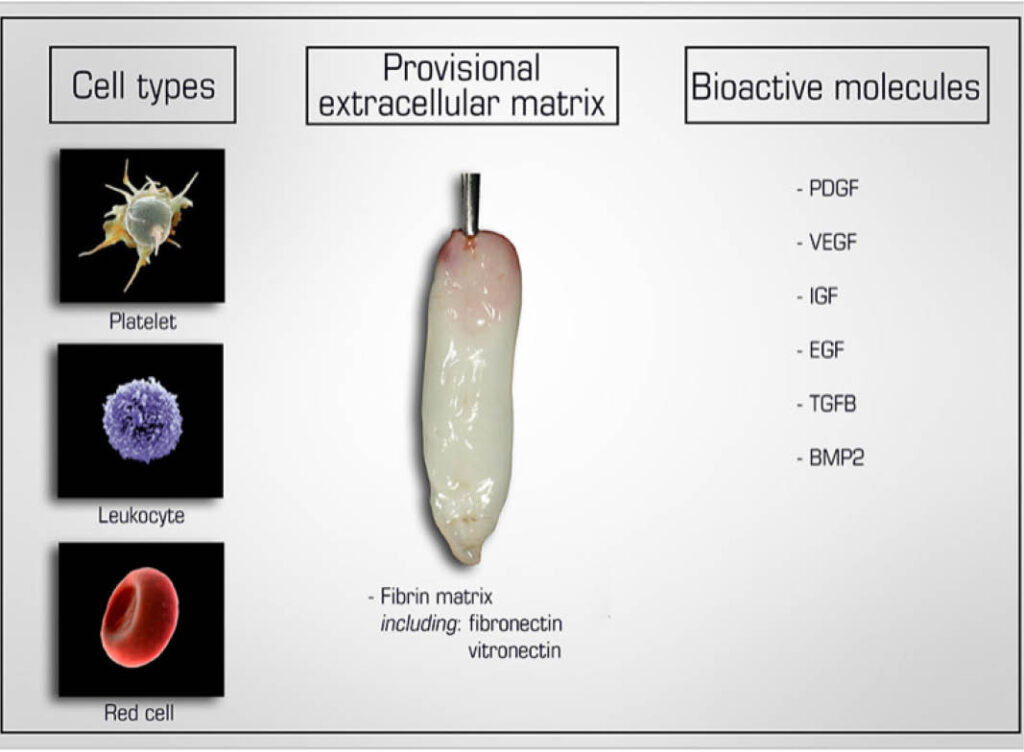 Bio-PRF Science - BioPRF EU